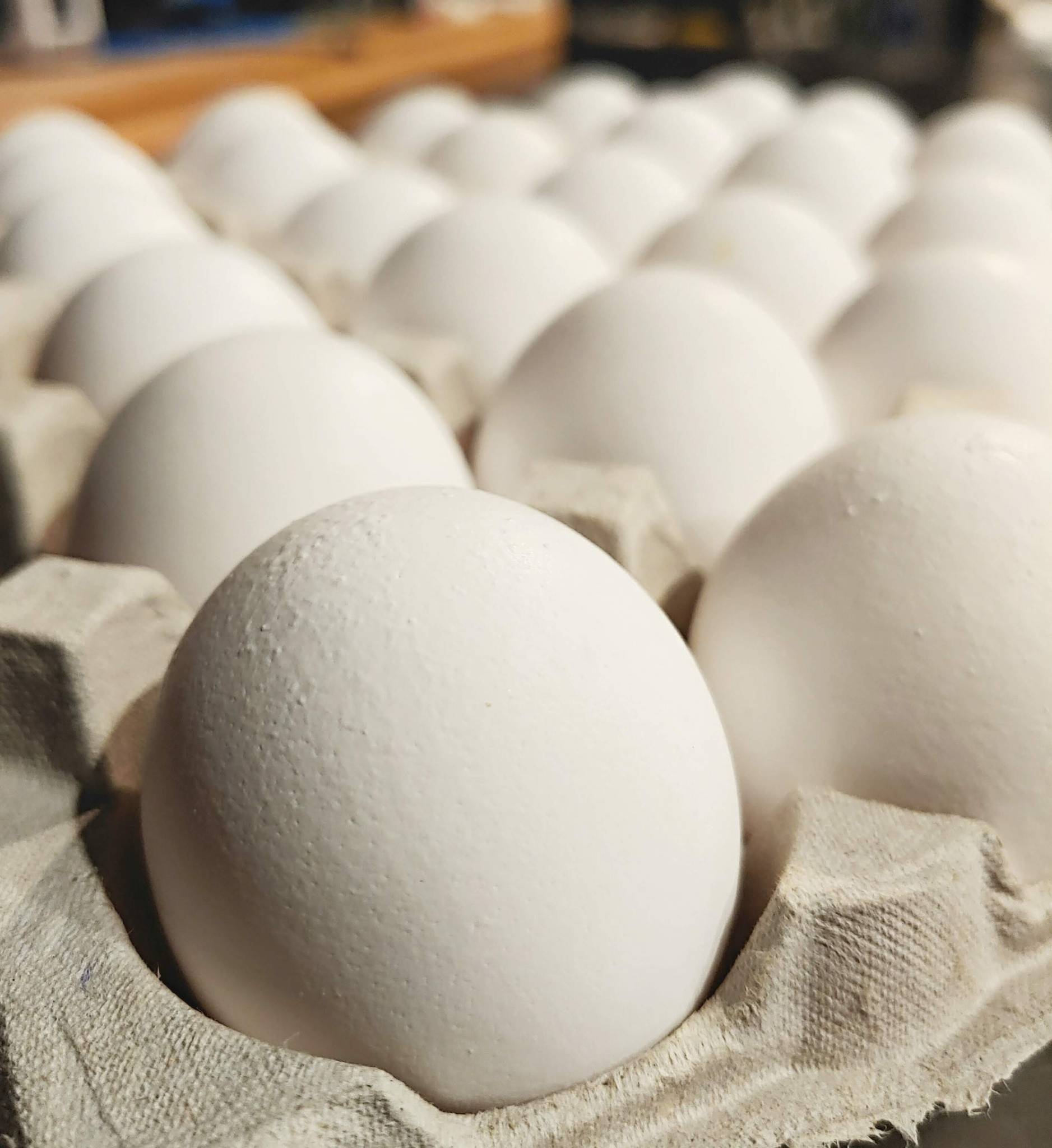 Eggs Extra Large Ellengee Market Eggs Extra Large Ellengee Market